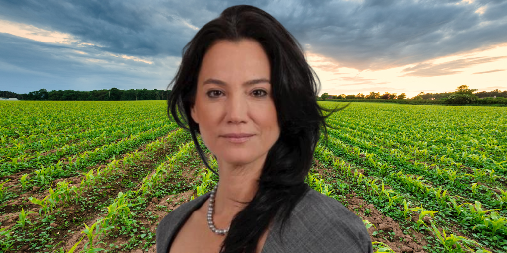 Why this CVC is putting economic growth and sustainability hand in hand ...