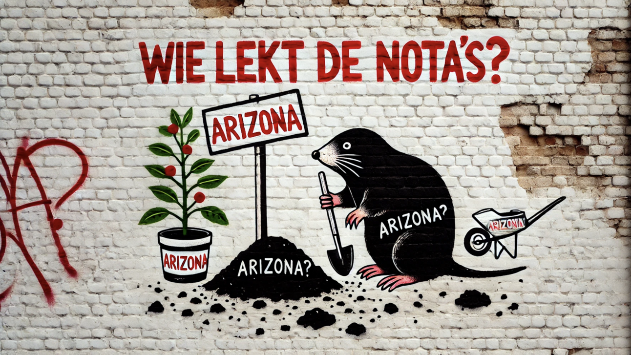 Wie is de mol van Arizona? Alles wijst op zowel Vooruit als MR, die ...