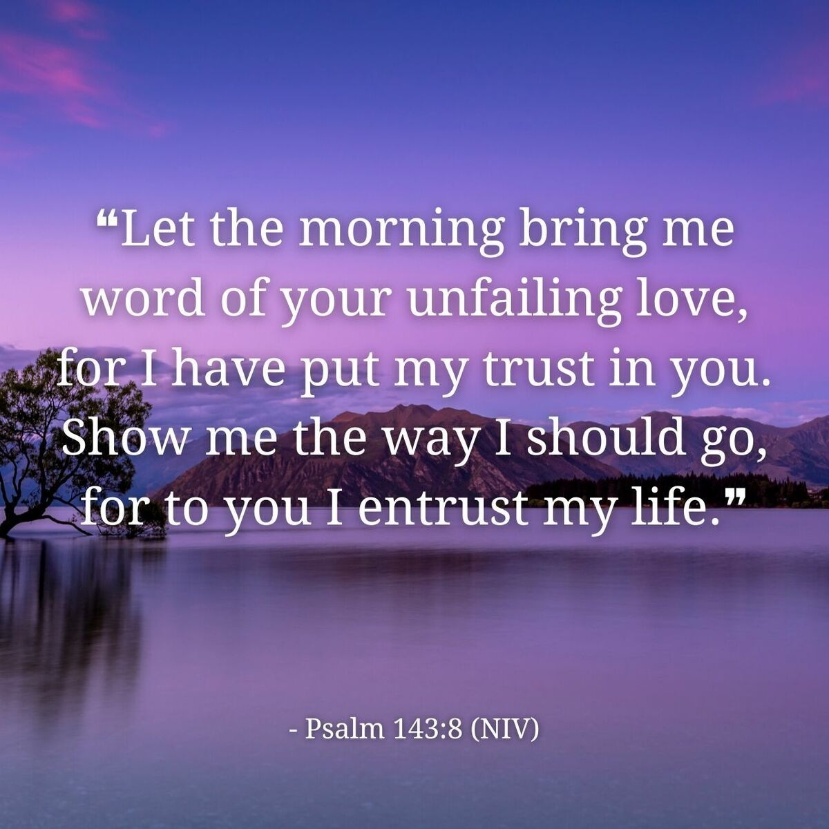 Verse of the Day: Psalm 143:8