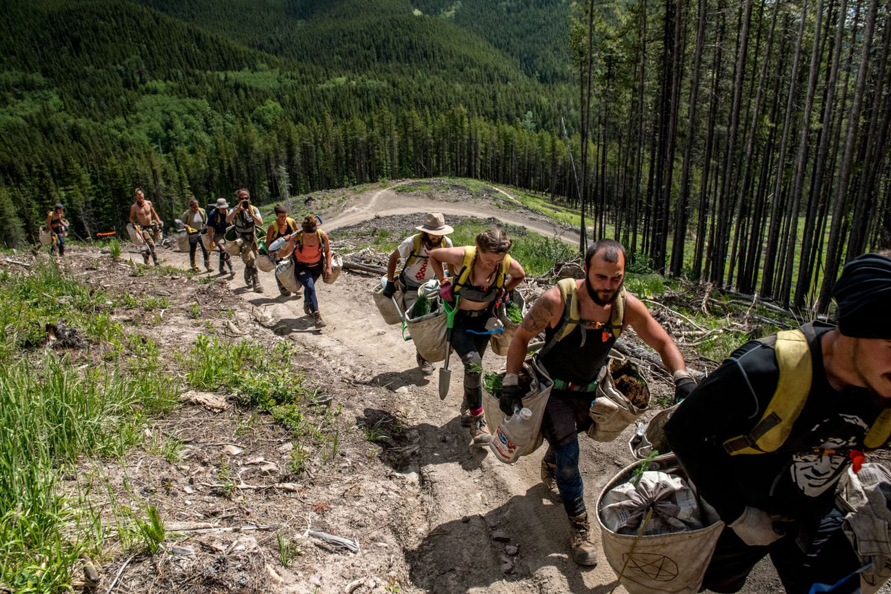 The Lost Cause by Cory Doctorow: Interview Part Four