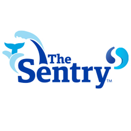 The Sentry Preview and Picks