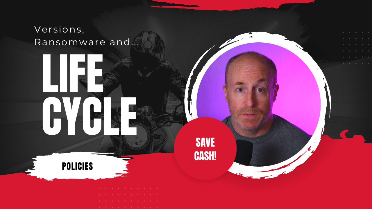 On the Meaning of Life(cycles), Versions, and Ransomware