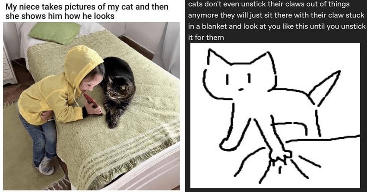 Most Hissterical Felines For Funny Caturdays