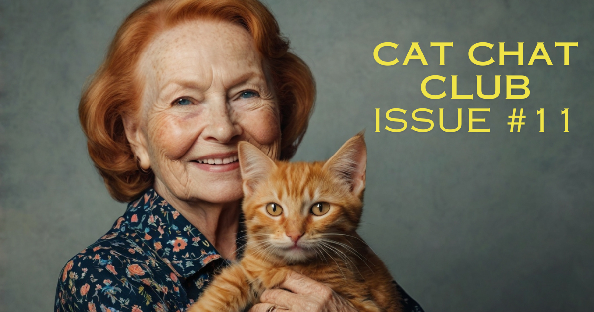 A lonely bingo night turned into a purr-fect surprise!