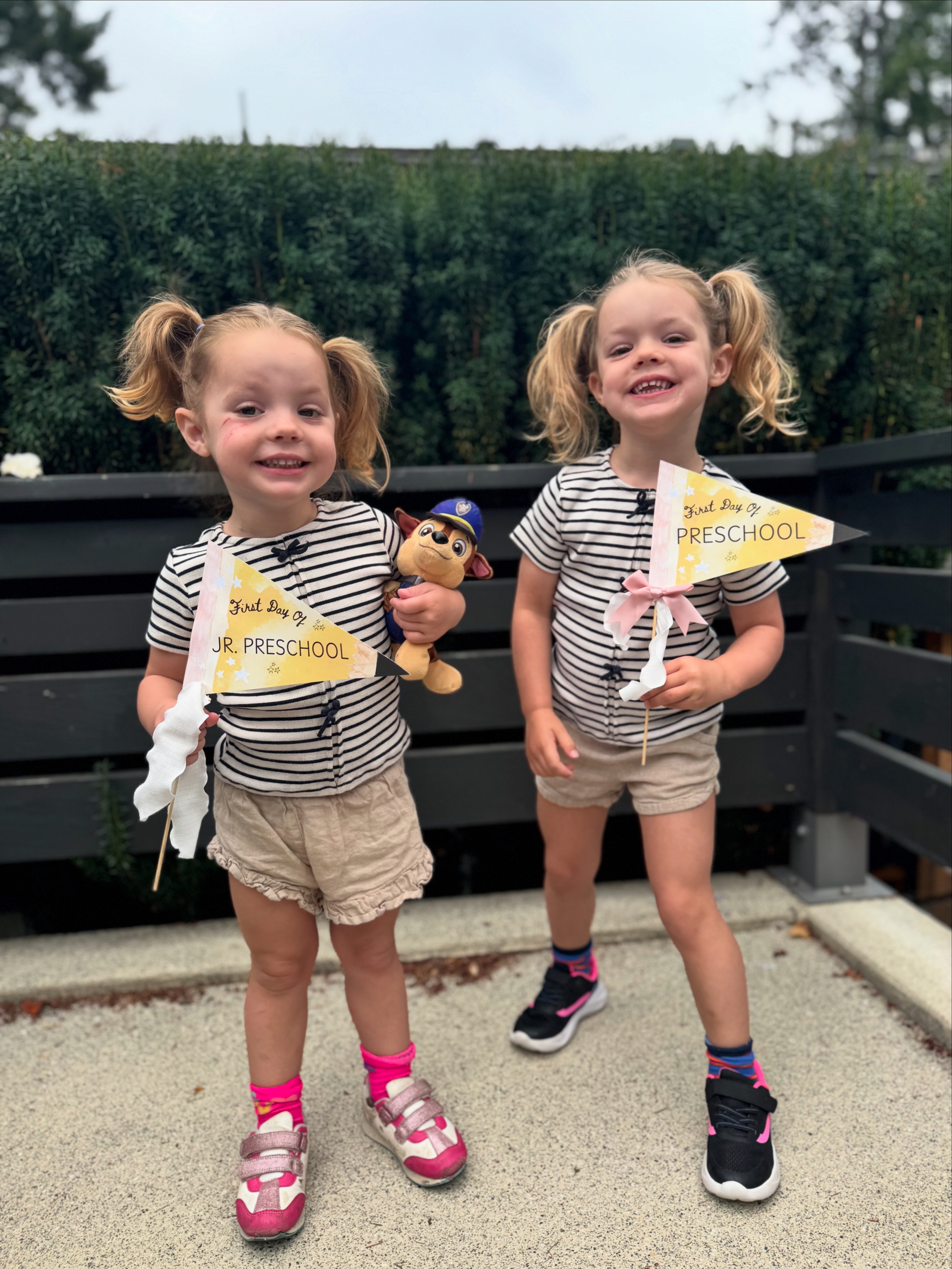 Back to School Flags