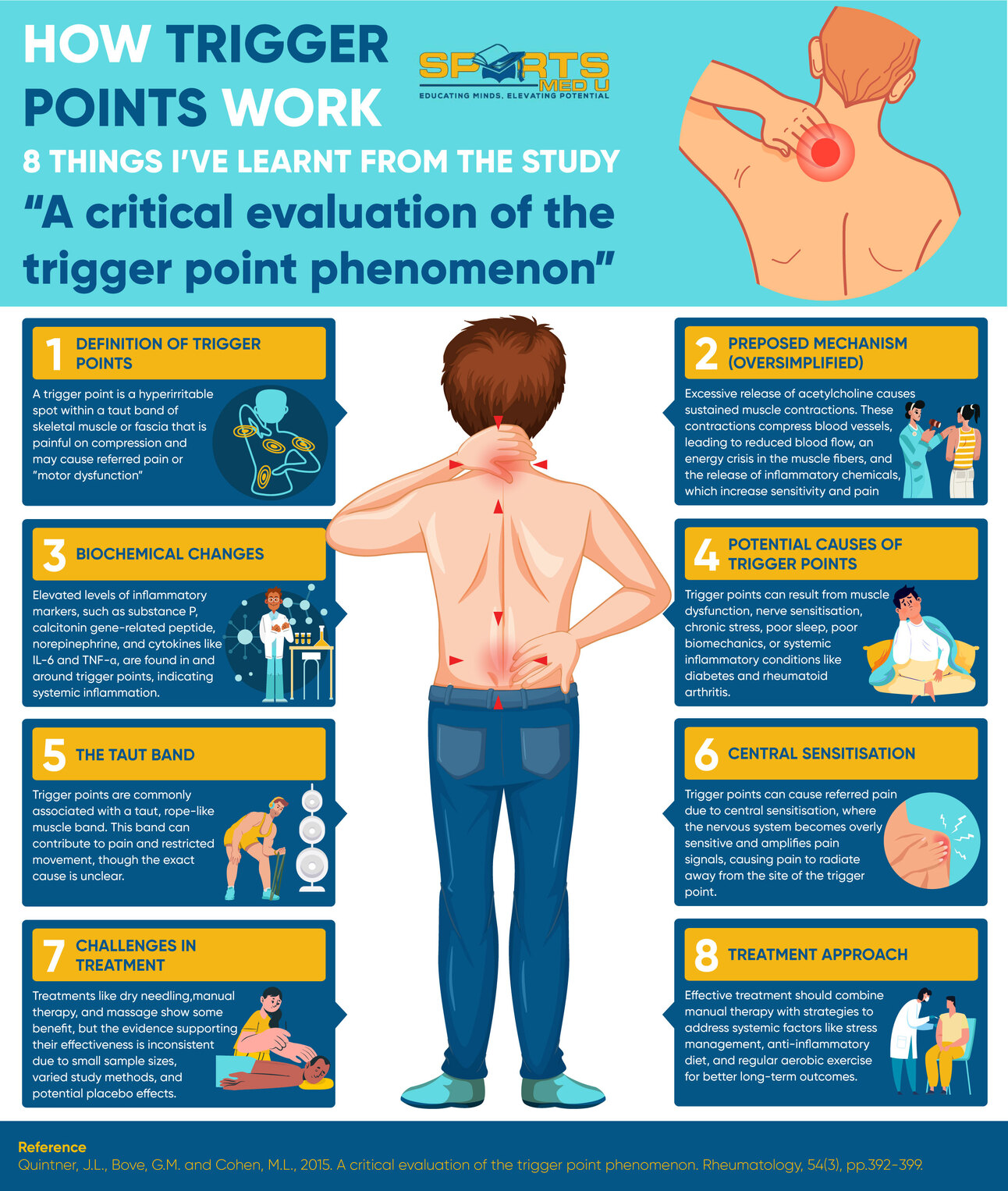 How Trigger Points Work