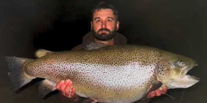 Beast of a Brown Trout Is a New World Record