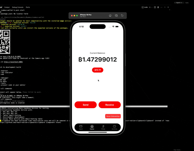 🟠 Nummus Newsletter #3: Quick Progress Update