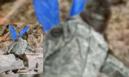 Good Idea Fairy revealed as O-3 in Pentagon basement