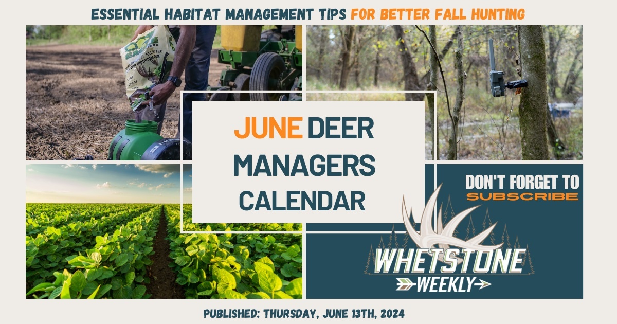 June Deer Manager's Calendar