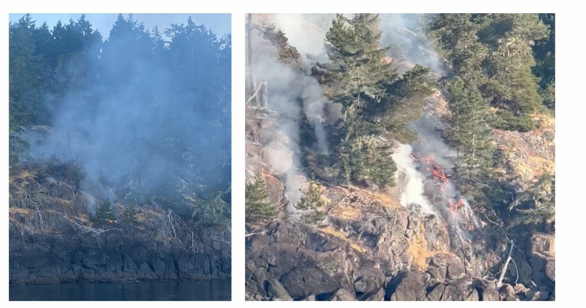 Fire at Thetis Lake quickly contained, but suspected to be human-caused