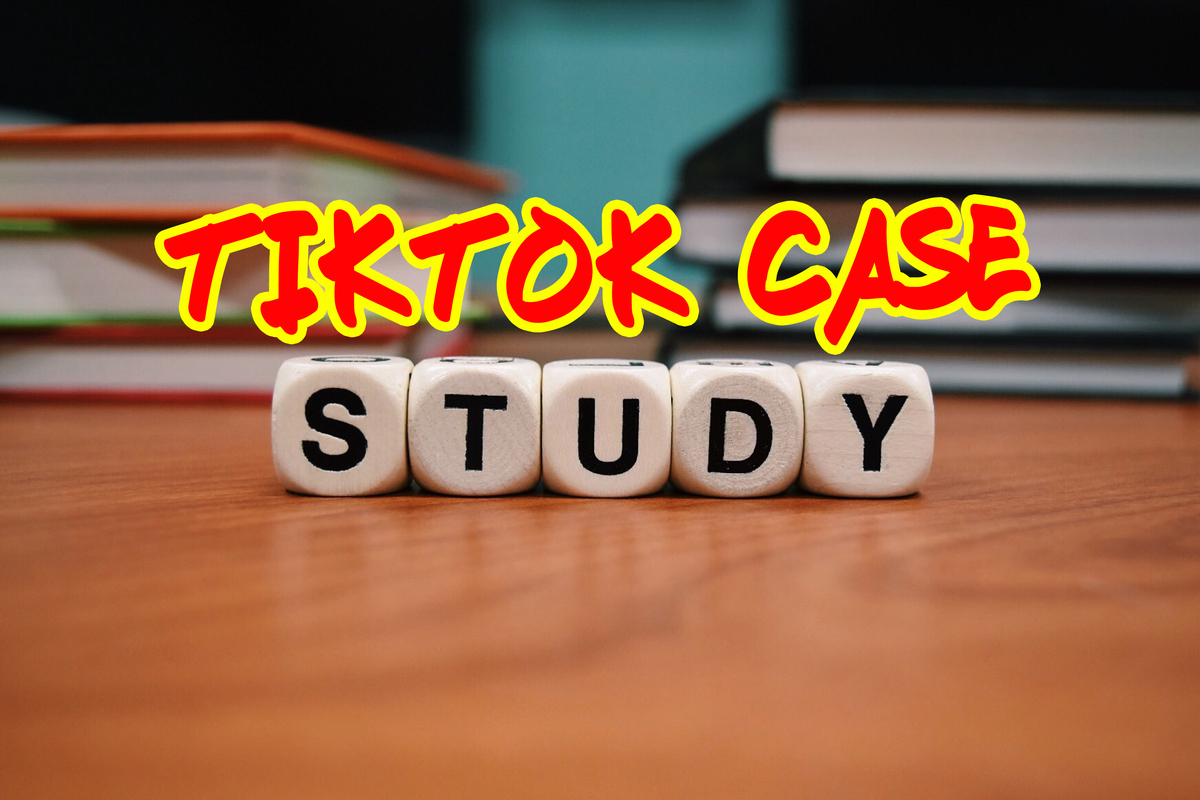 TikTok Traffic Case Study
