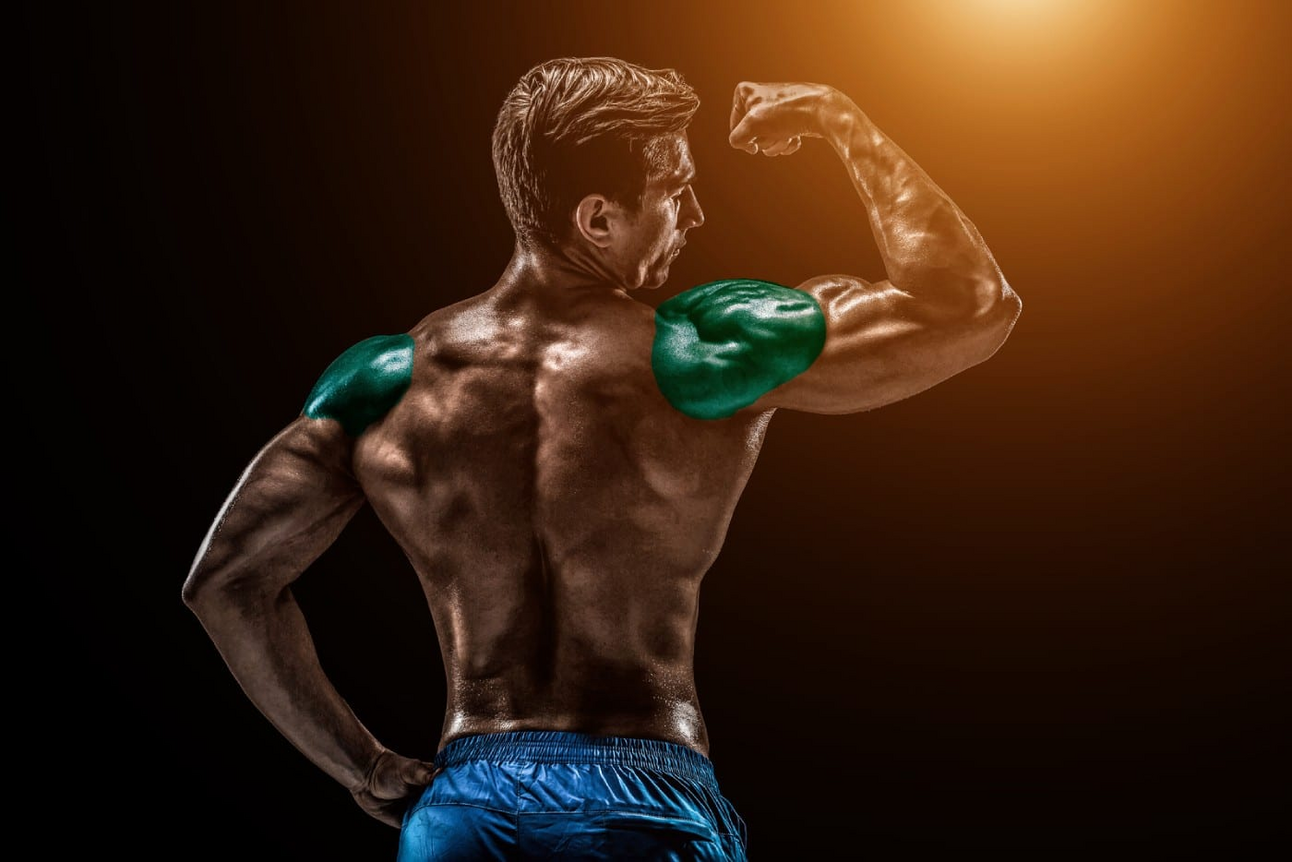 Thanks to This Guide, Say Hi to Strong, Defined Shoulders
