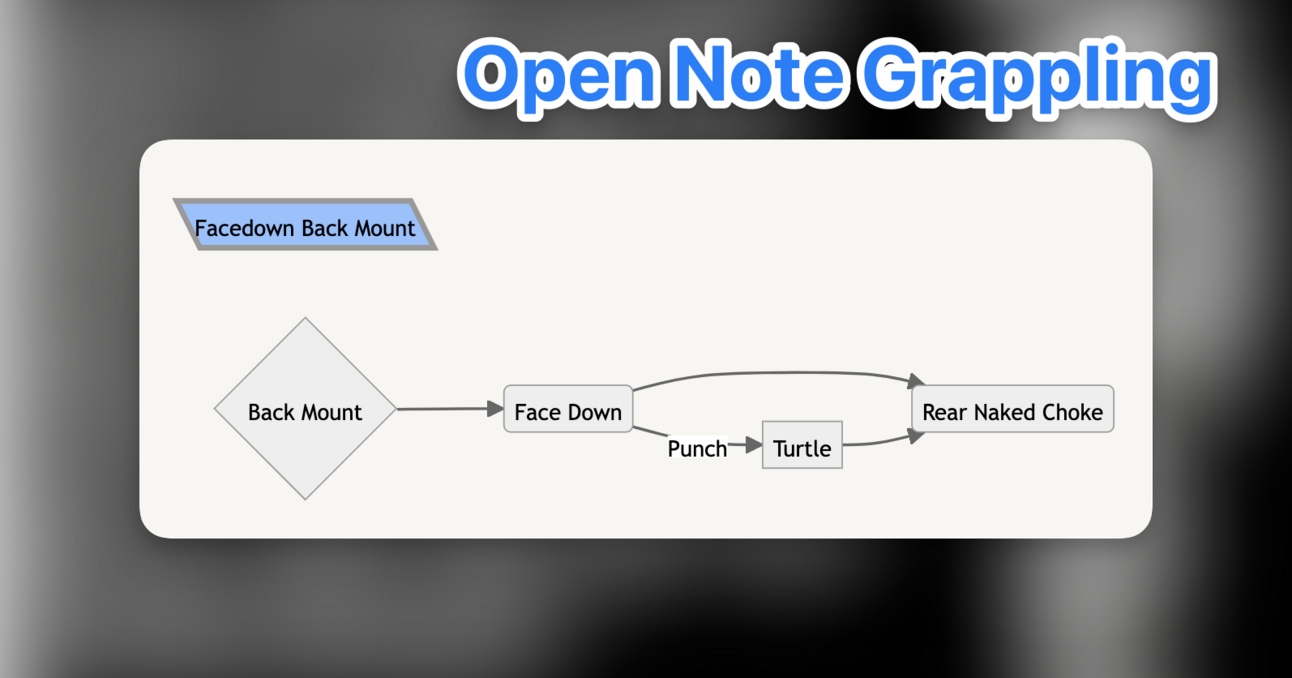 UFC 293's Three Rear Naked Chokes And What They Will Teach You