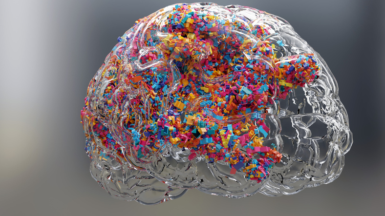 Your Brain May Be Contaminated With Microplastics