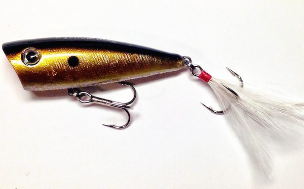 Yellow Magic Popper Review by Bobby Saffel