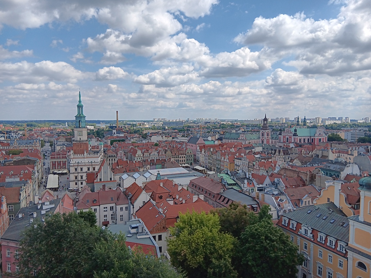 This 🇵🇱Polish City Has a Fascination With 🐐Goats & 🥐Croissants