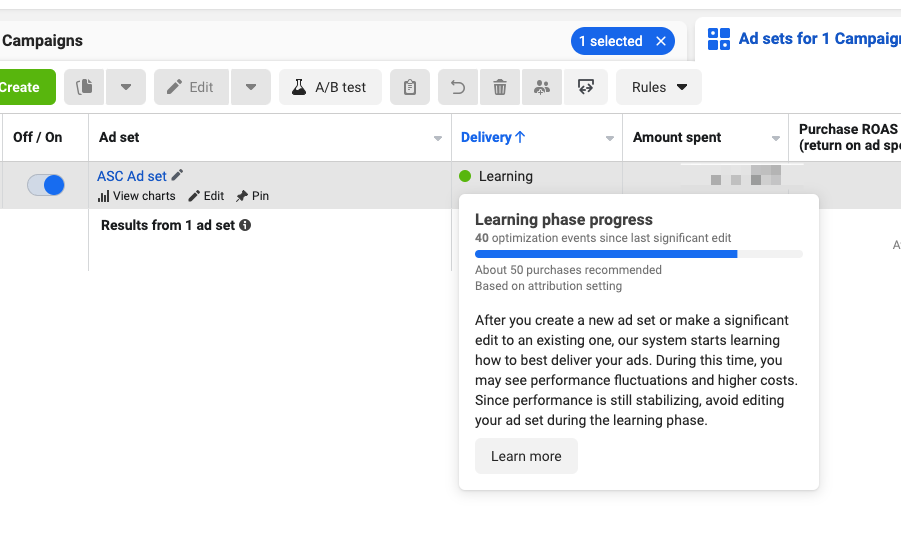All you need to know about Meta's "Learning Phase"