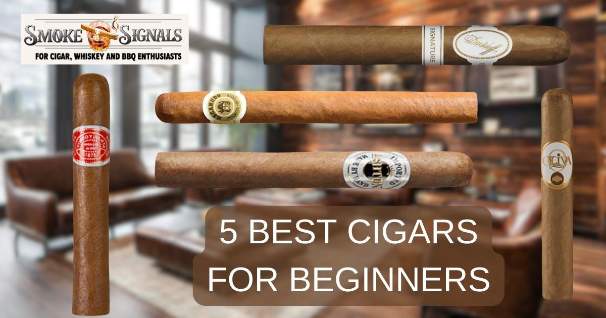 Top 5 Best Cigars for Beginners - Start Here