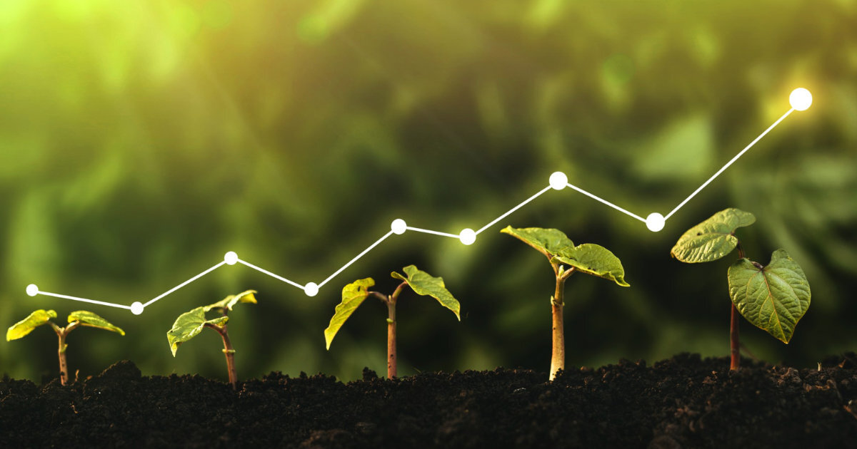 The Lower Middle Market: A Buyer's Paradise