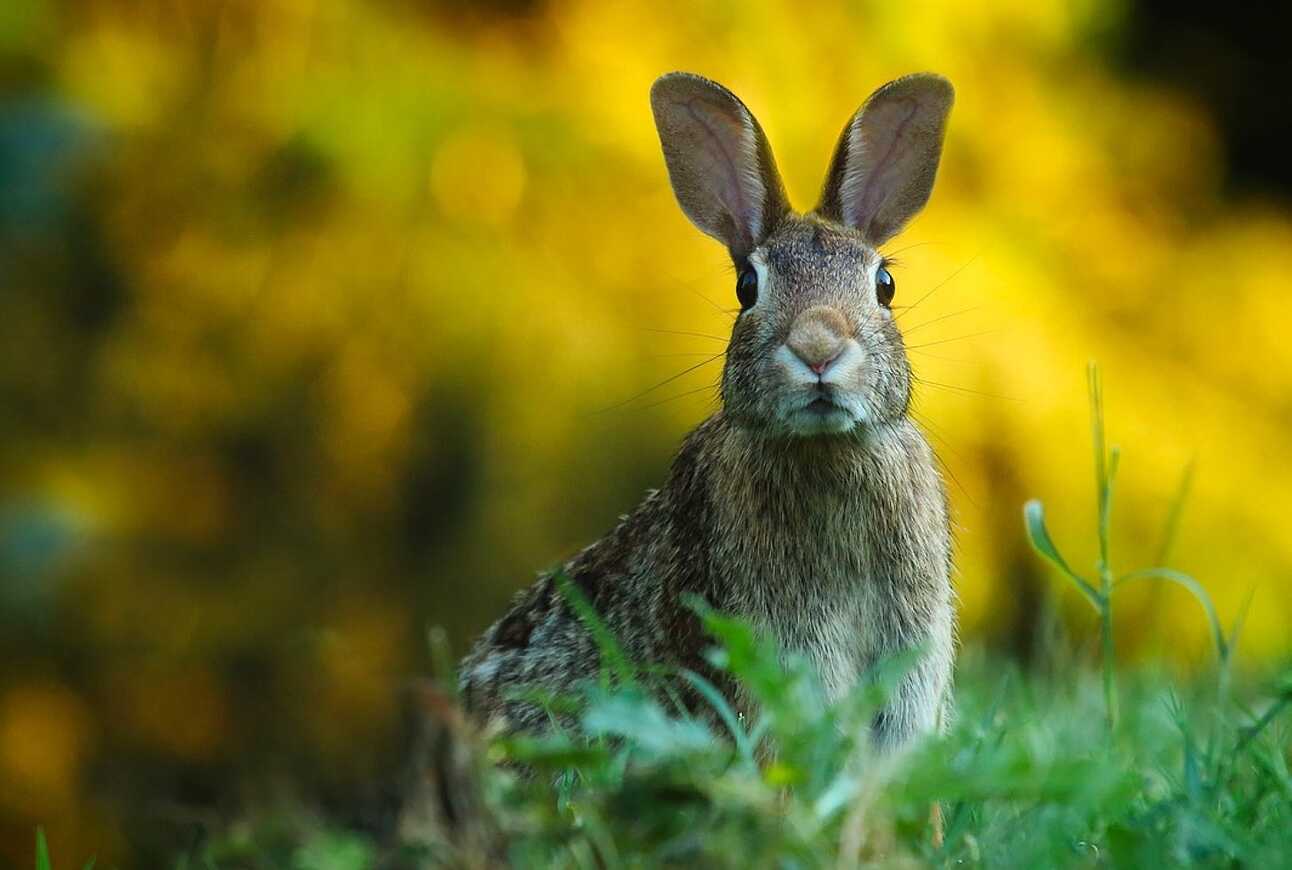 Small Changes. Big Results.