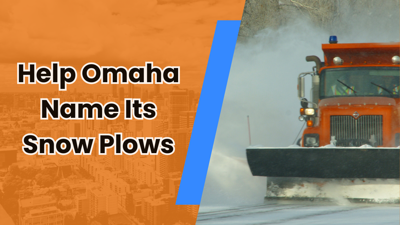 ️ Who names a plow? We do!