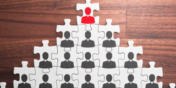 Guide to understanding Canadian workplace hierarchy