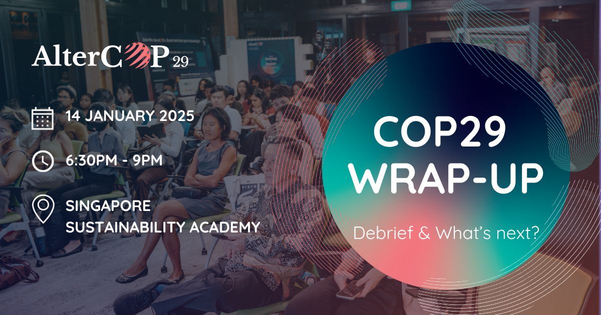 Post-COP29 Wrap-Up event