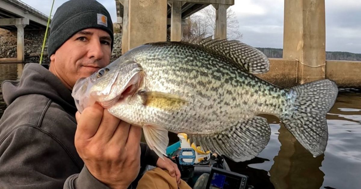 Winter Bass Tips, Crappie Wins, and a 40-Inch Barracuda!