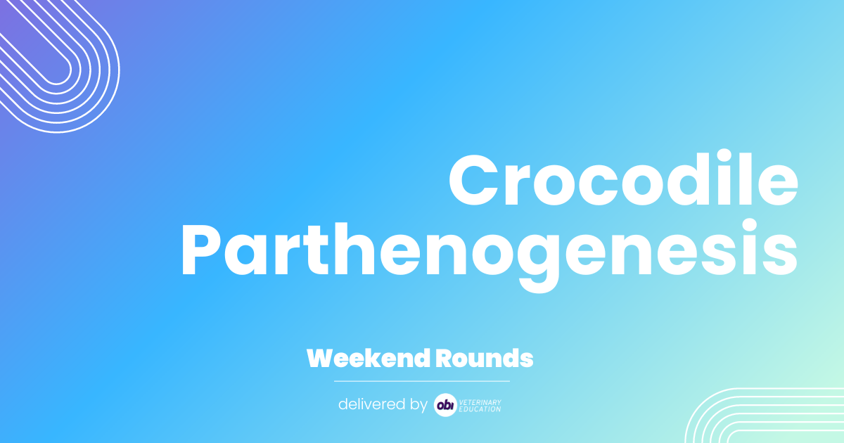 🐊 Crocodile Parthenogenesis