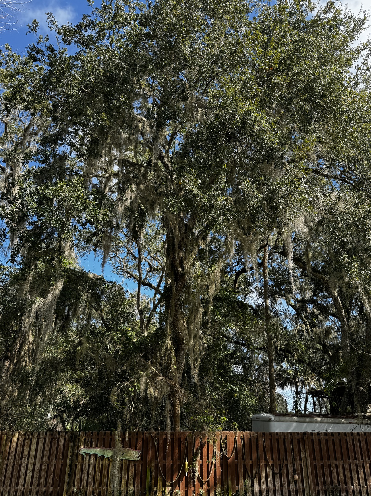 Shipping seeds! (and 200 🌳!)