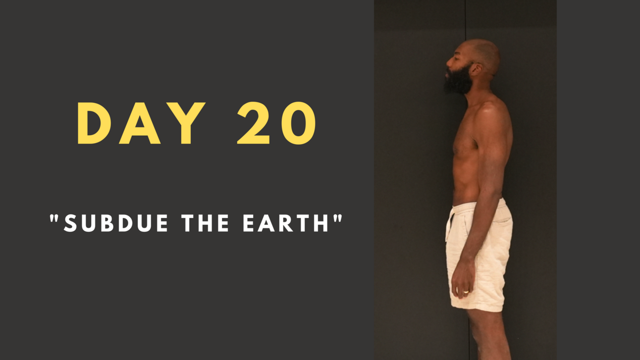 Day 20 - Subdue the Earth