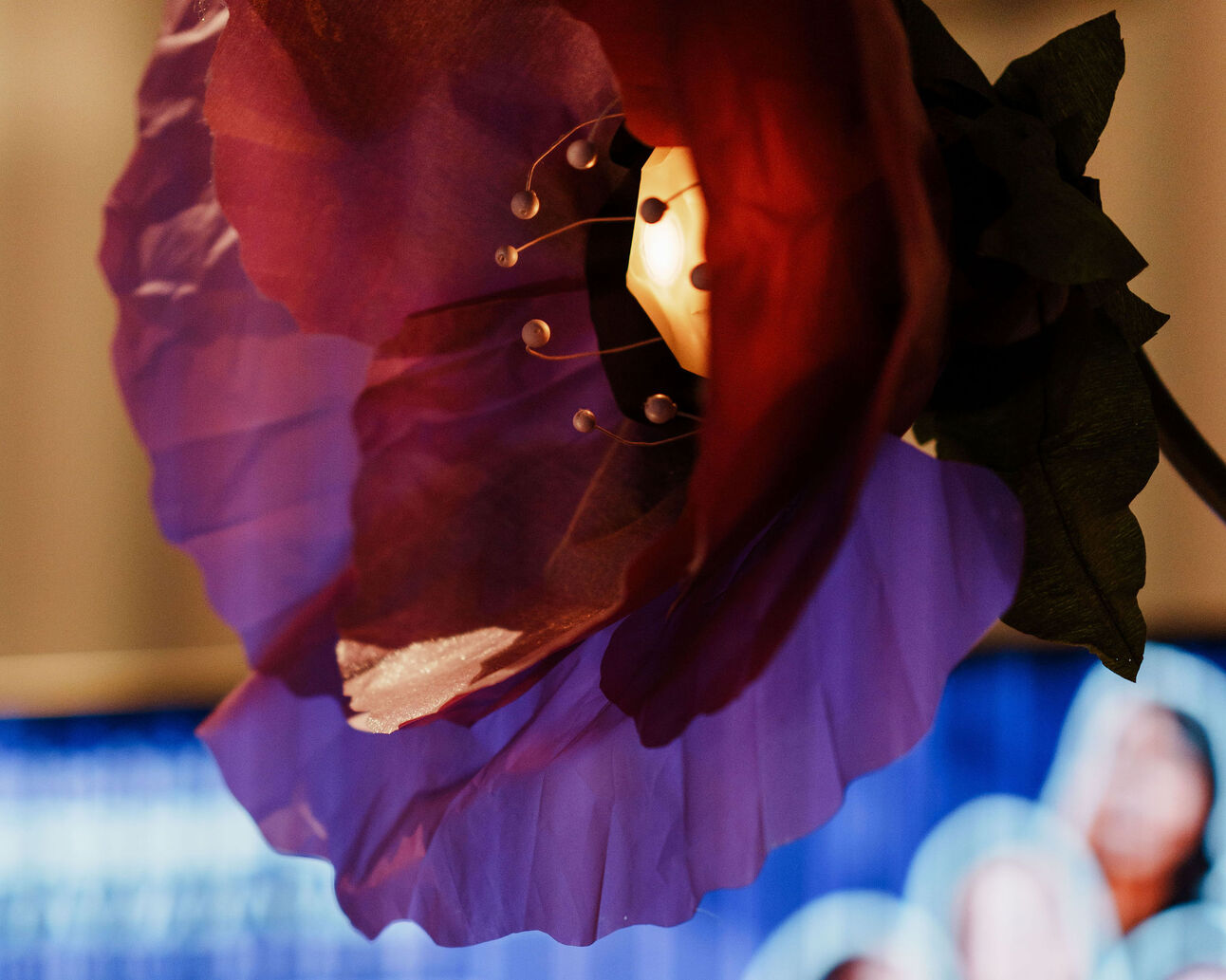 🤑 Women: Your Secret Superpower