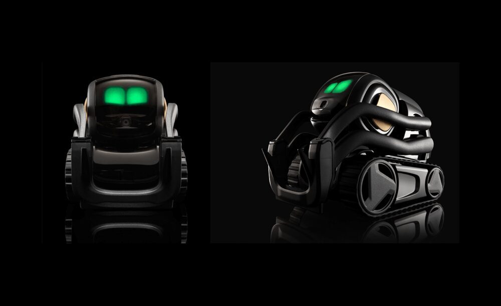Vector, o robô pet