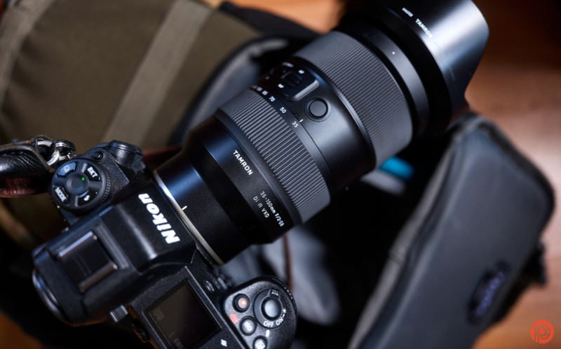 Low Light Photography? These Cameras Shine!