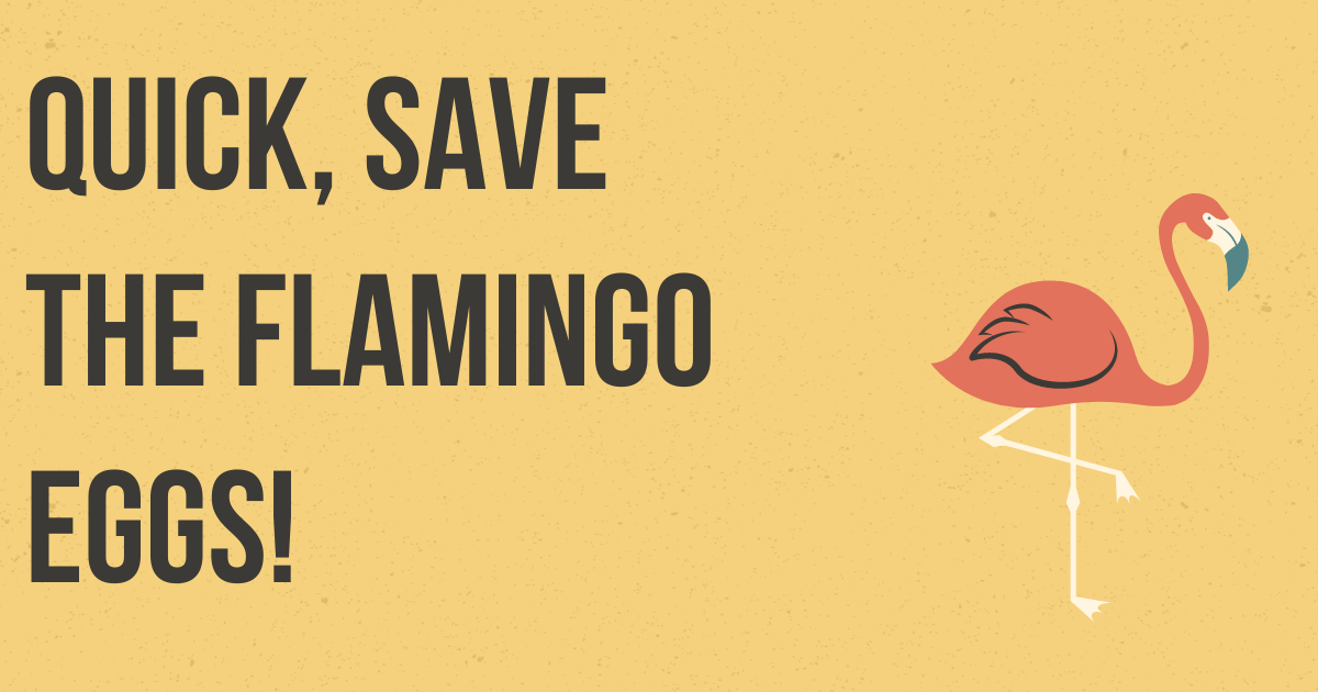 ☀️ Quick, Save The Flamingo Eggs