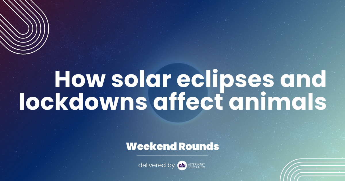 How solar eclipses and lockdowns affect animals