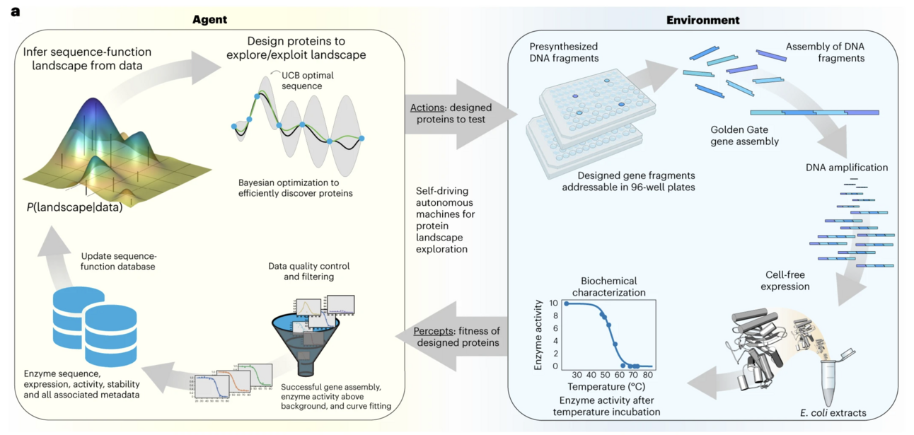 Automated drug discovery using AI and robotics