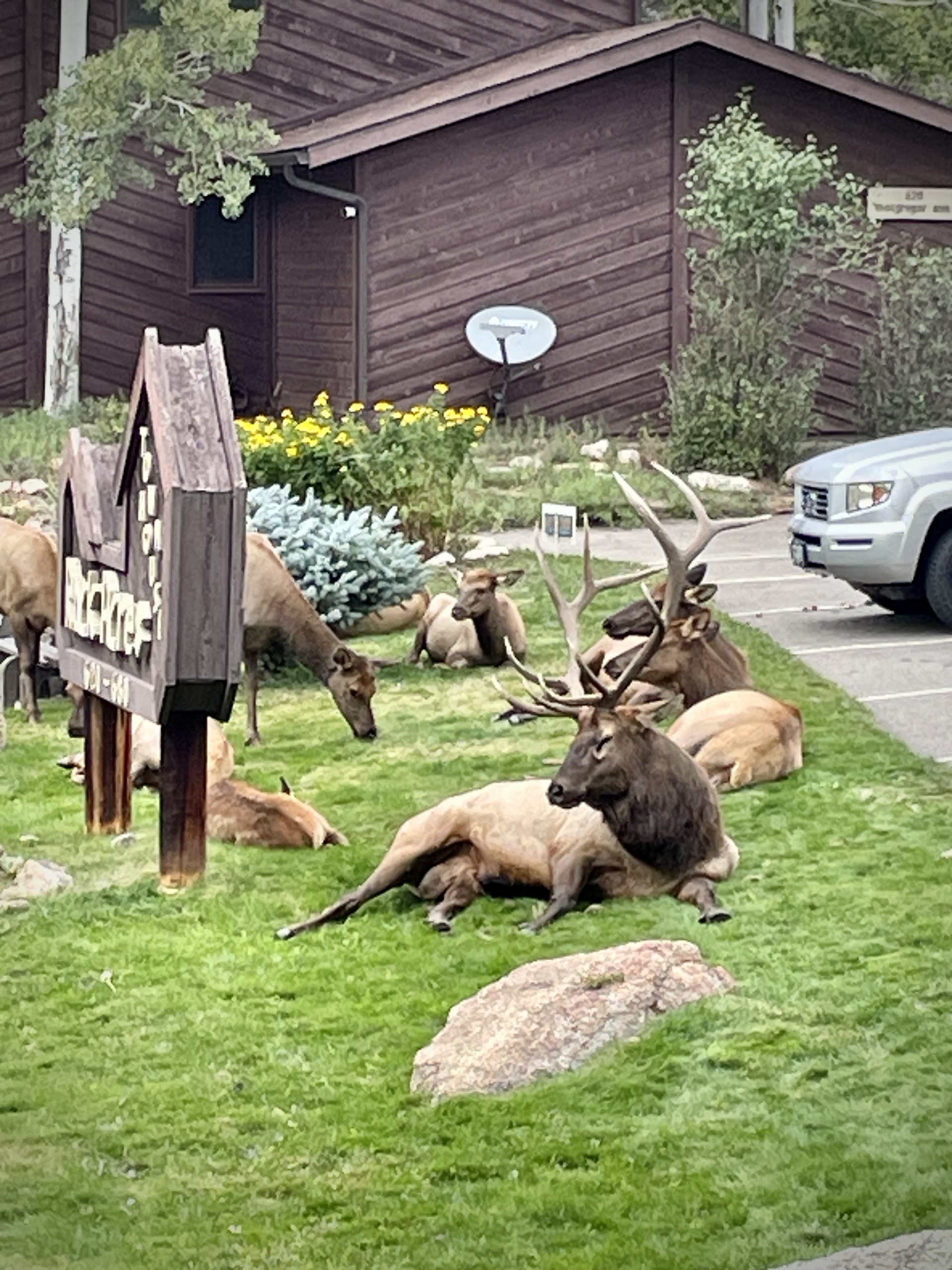 Fall Colors, Elk Bugles, and Hidden Gems: What’s Hot in Estes This Week