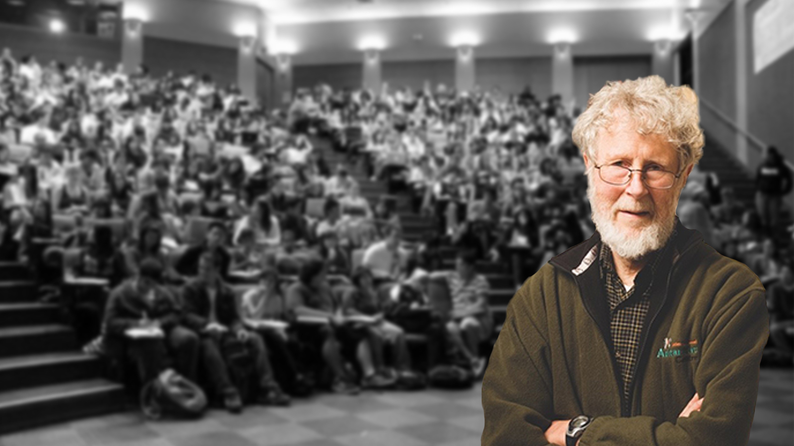 🌊 Are We Getting Dumber?