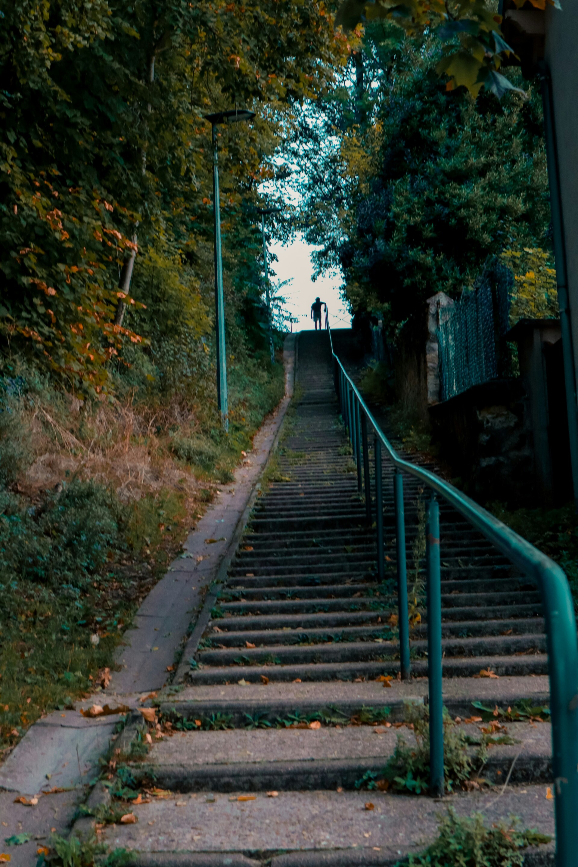 LA's Hidden Stairways and the Communities They Build