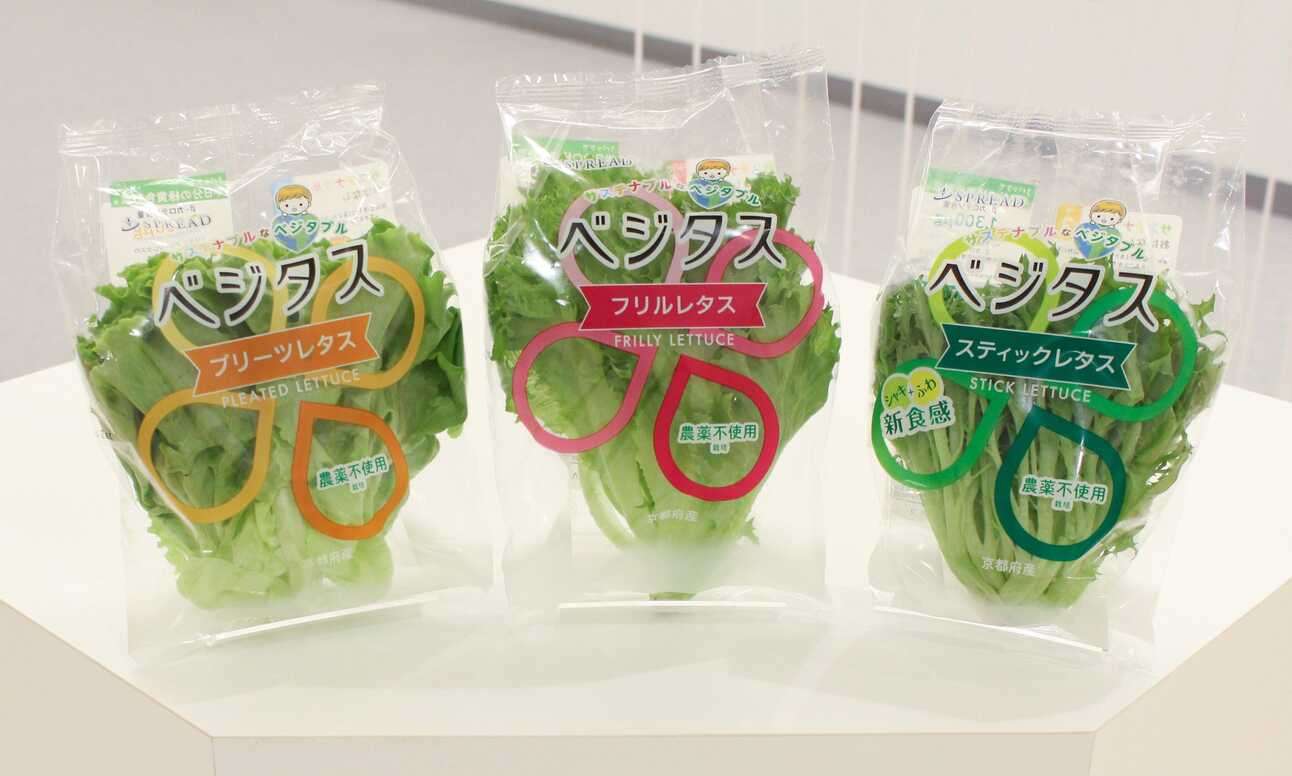 Japan's Vertical Farming: Rising High With Local Innovators