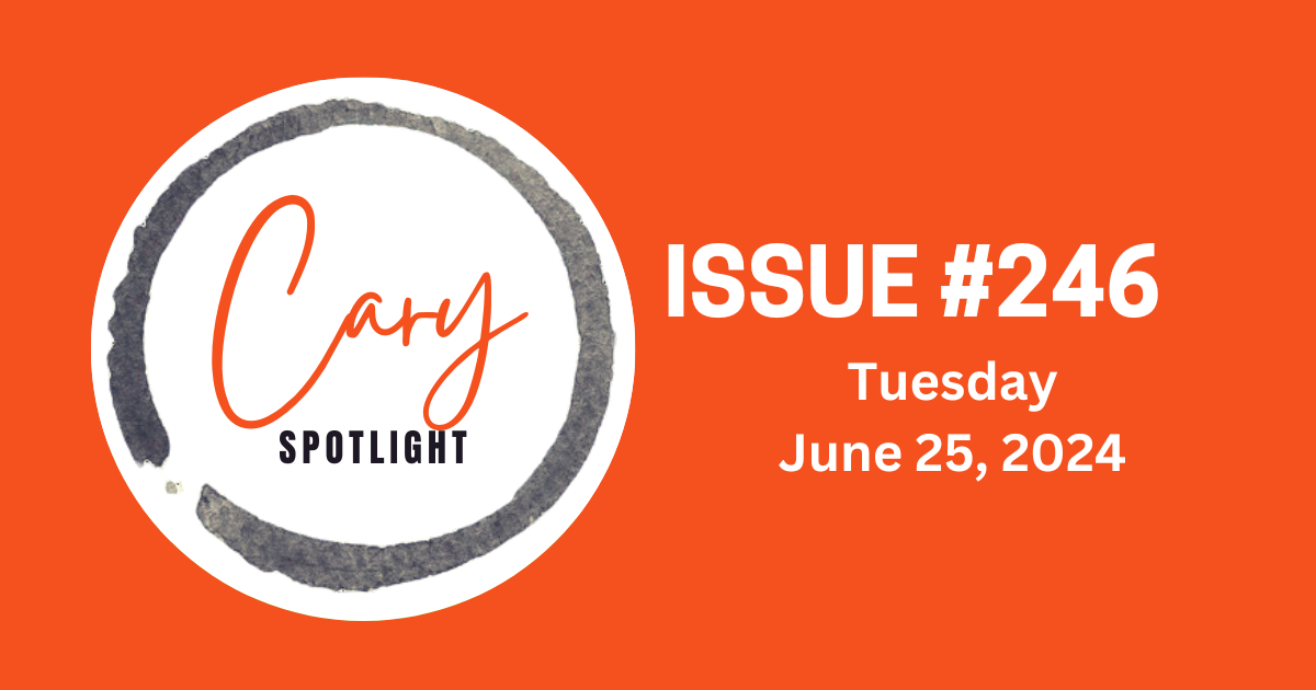 Issue #246 Issue #246