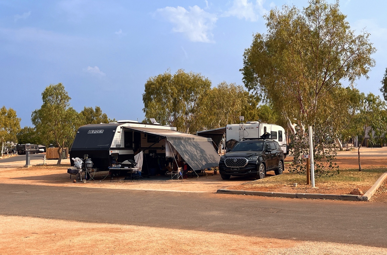 What are the Bushe Diaries?