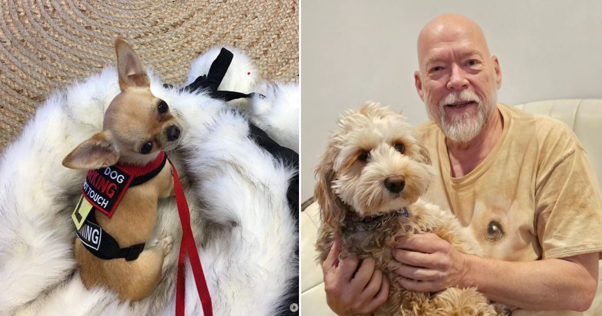 8 questions with the Ferntree Gully dog whisperer