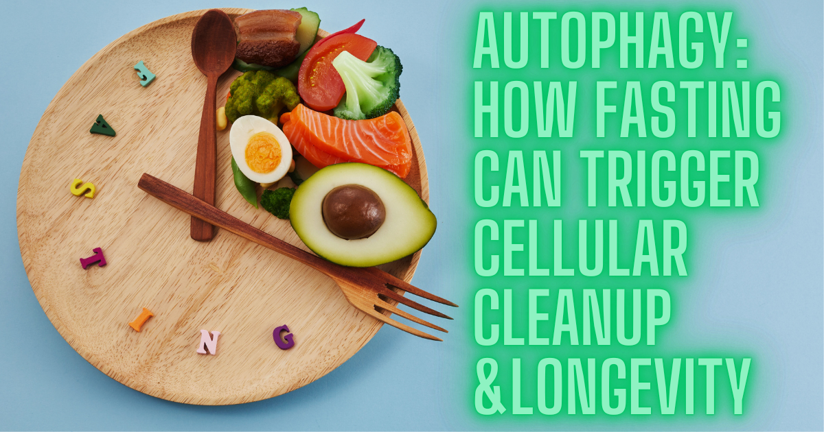 Autophagy: How Fasting Can Trigger Cellular Cleanup and Longevity
