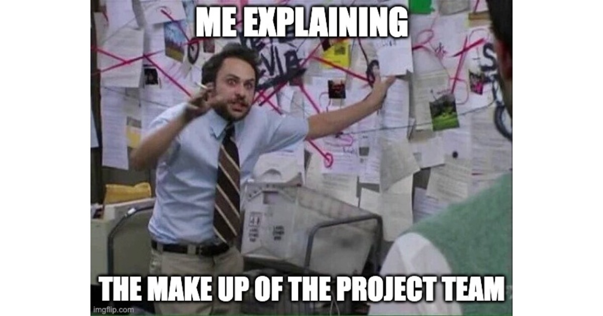 💃 A Beginner's Guide to Salesforce Project Team Roles, Part 1 of 2 🕺