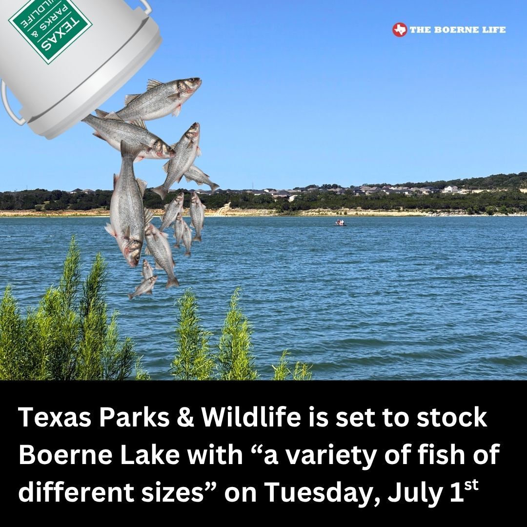 👉Boerne Lake Stocked with Fish + Ancient Bible Digitized