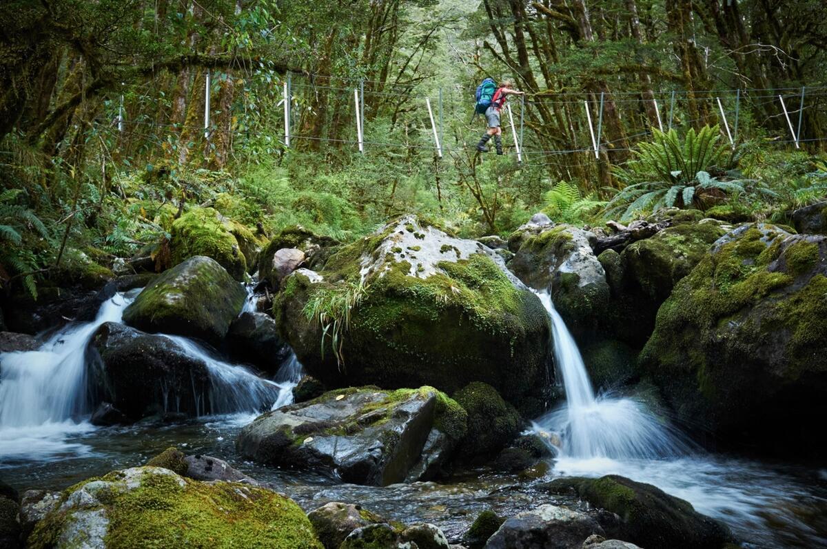Hiking New Zealand’s Dusky Track
