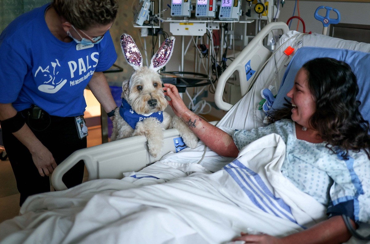 Making a difference in the lives of Calgarians with pet visitation therapy